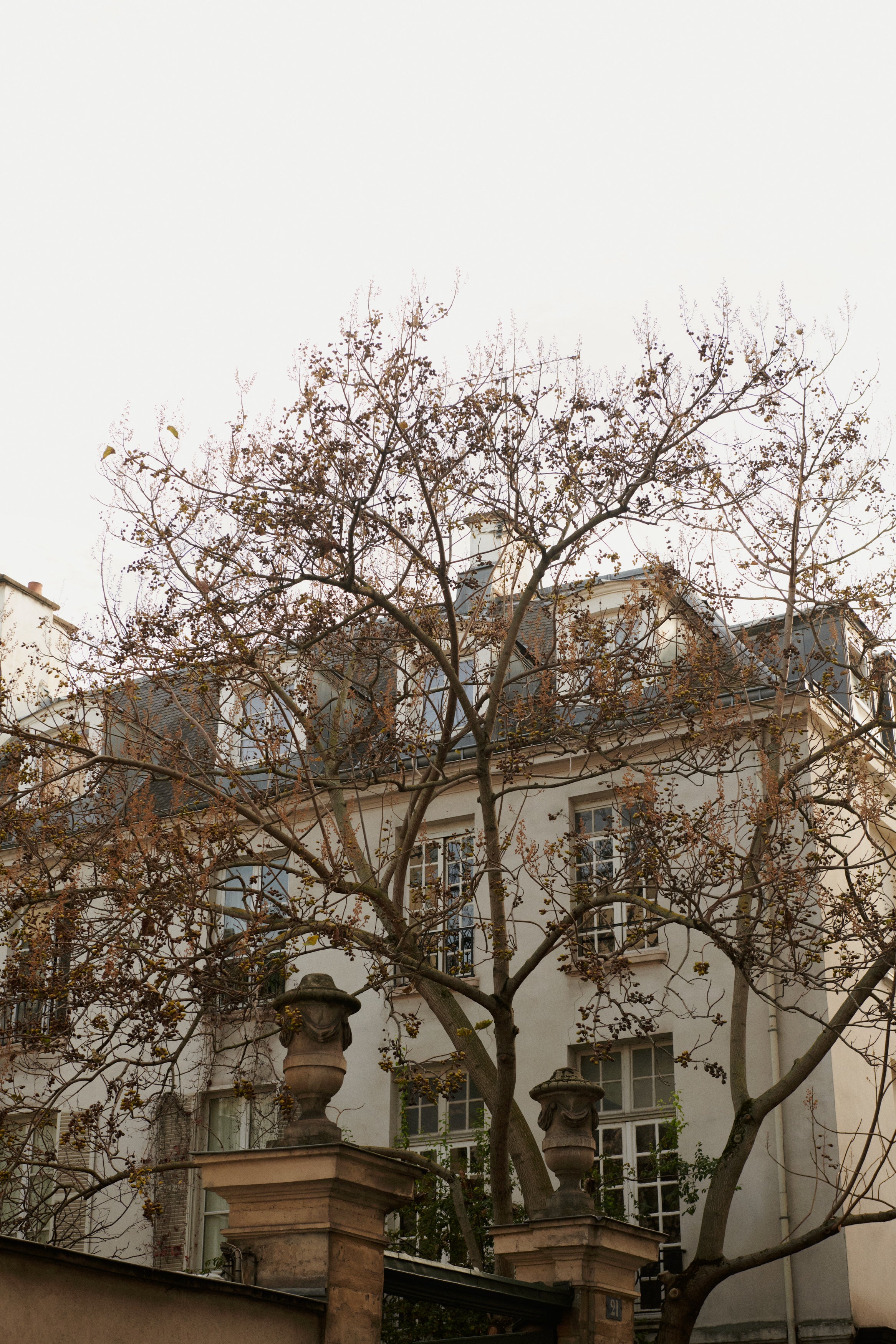 Skall Letter No. 47 - Alice Pilate – Skall Studio ENG